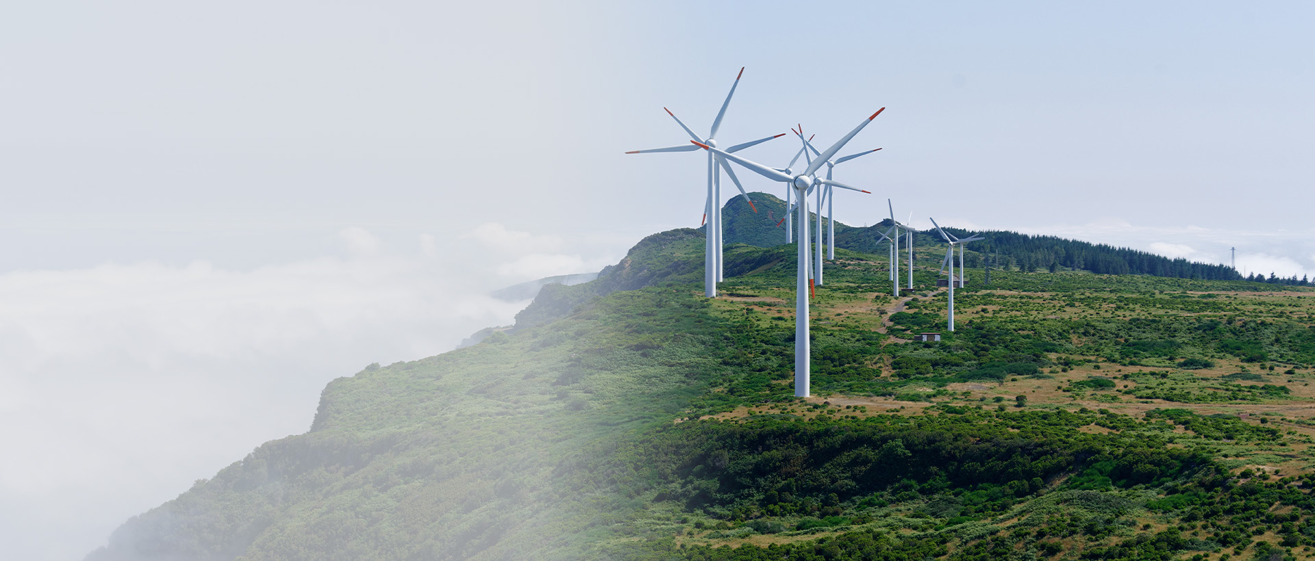 Restart Energy doo | Restart Energy Serbia